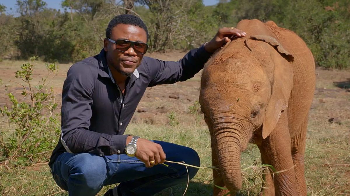 529427364_1280x720 - WildAid