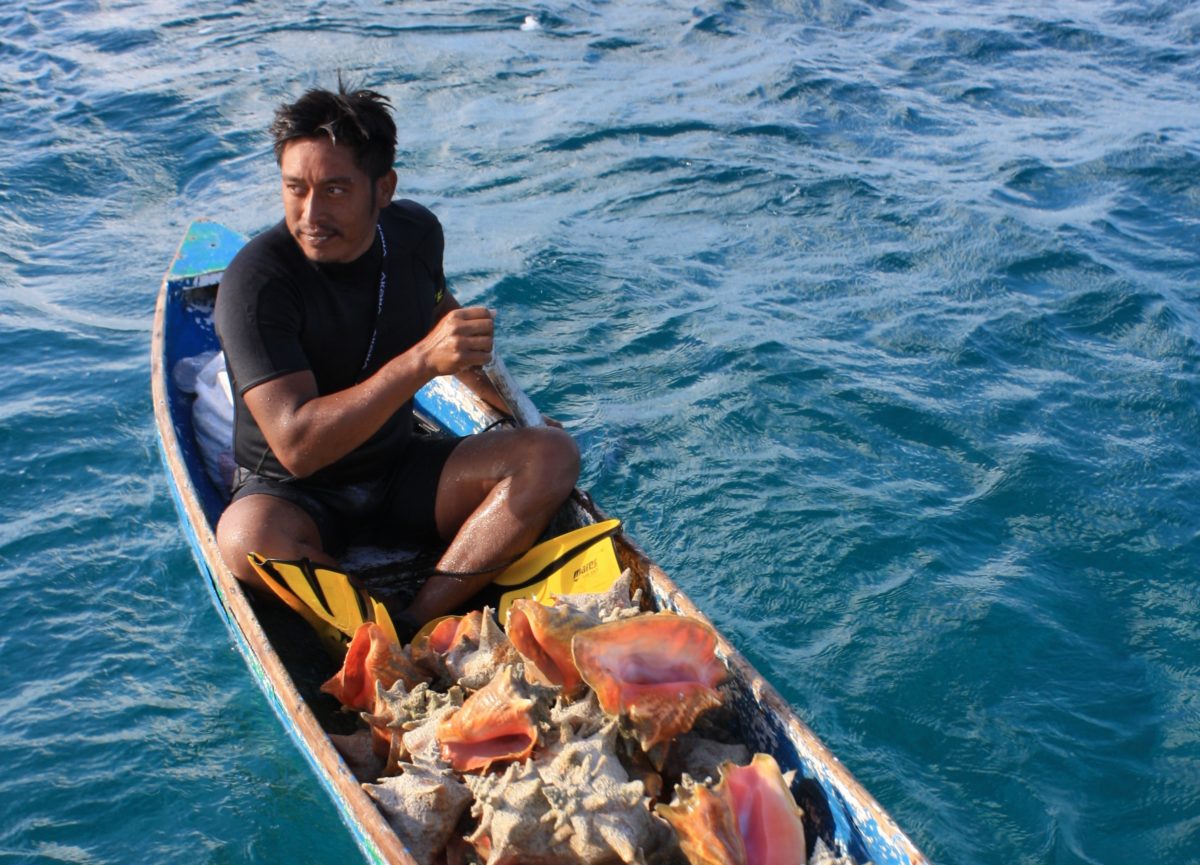 Happy fisher and his catch - WildAid