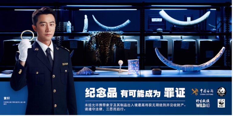 China Customs - WildAid