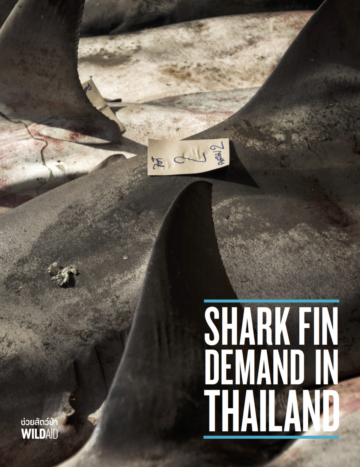 Shark fin demand in Thailand (2017) - WildAid