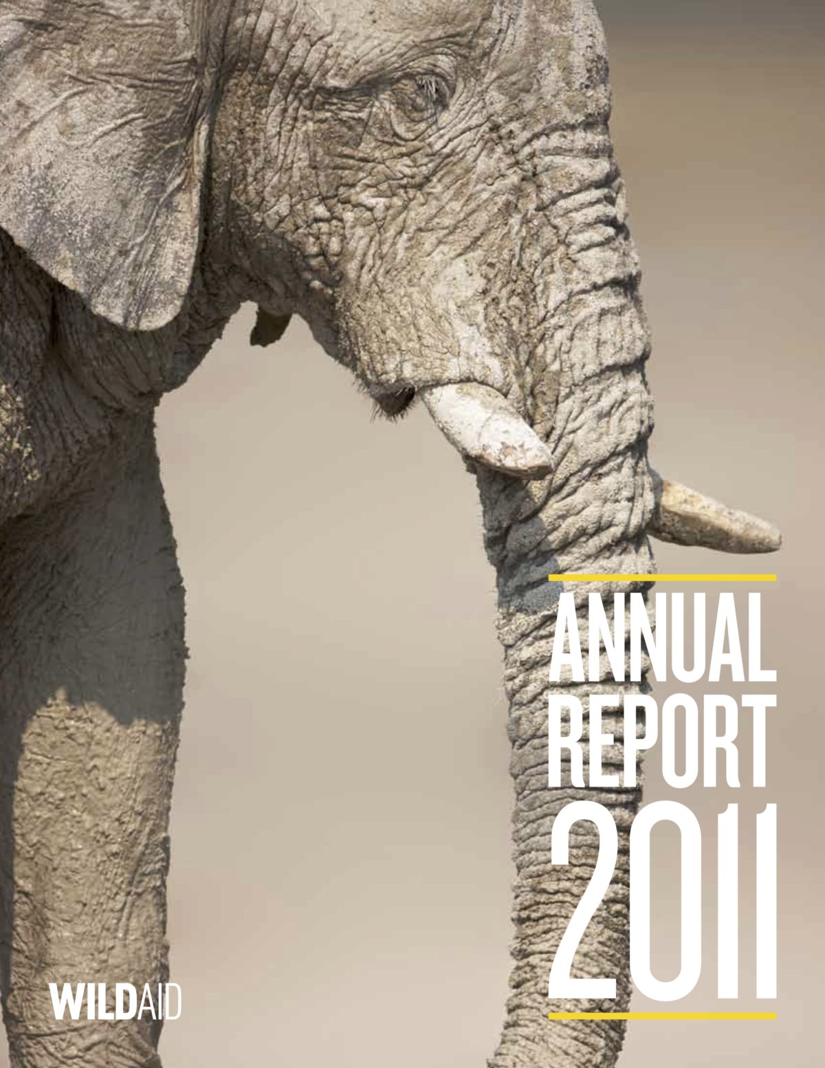 2011 Annual Report - WildAid