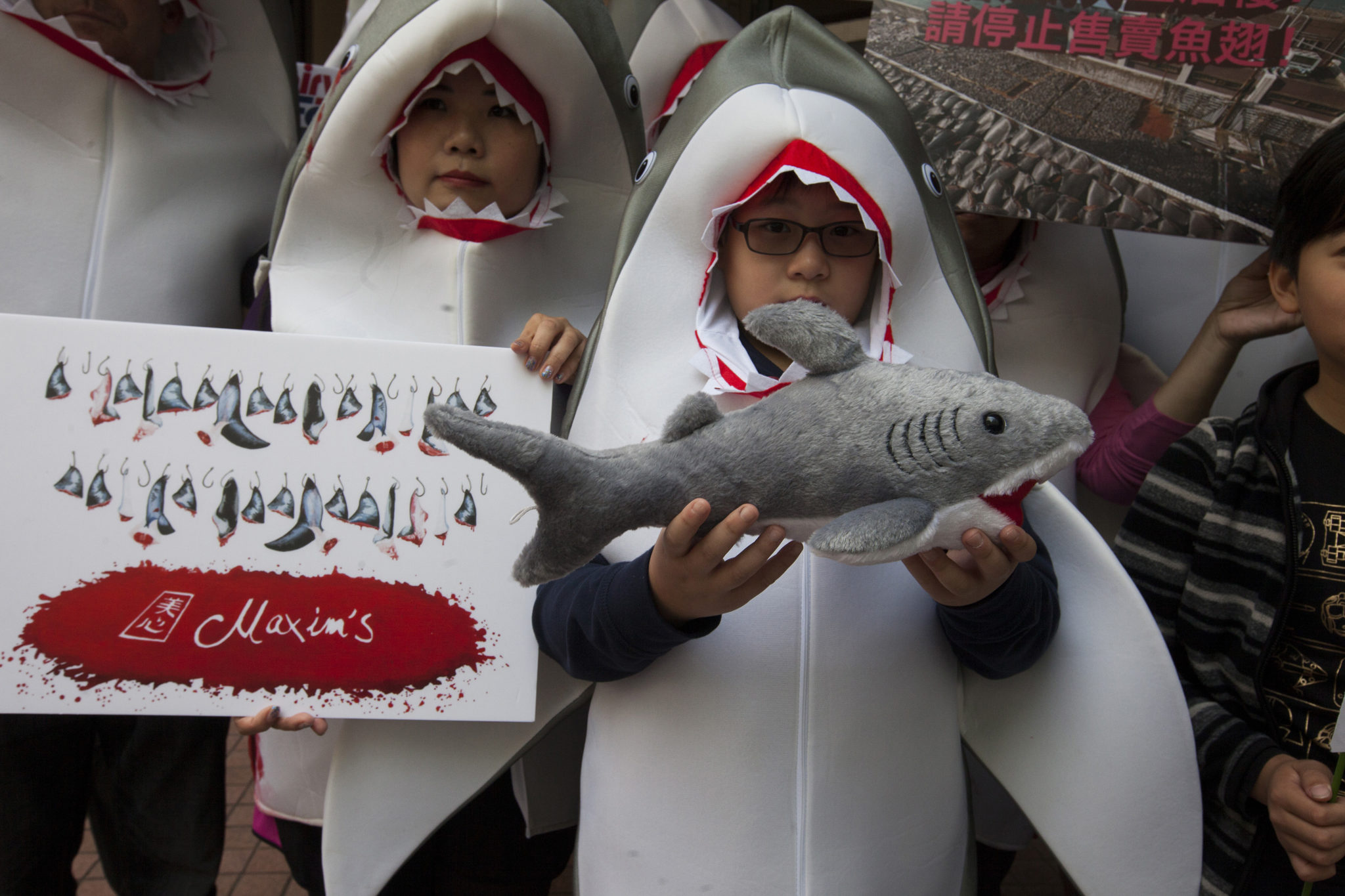 Threats to Sharks Shift Away From Mainland China - WildAid