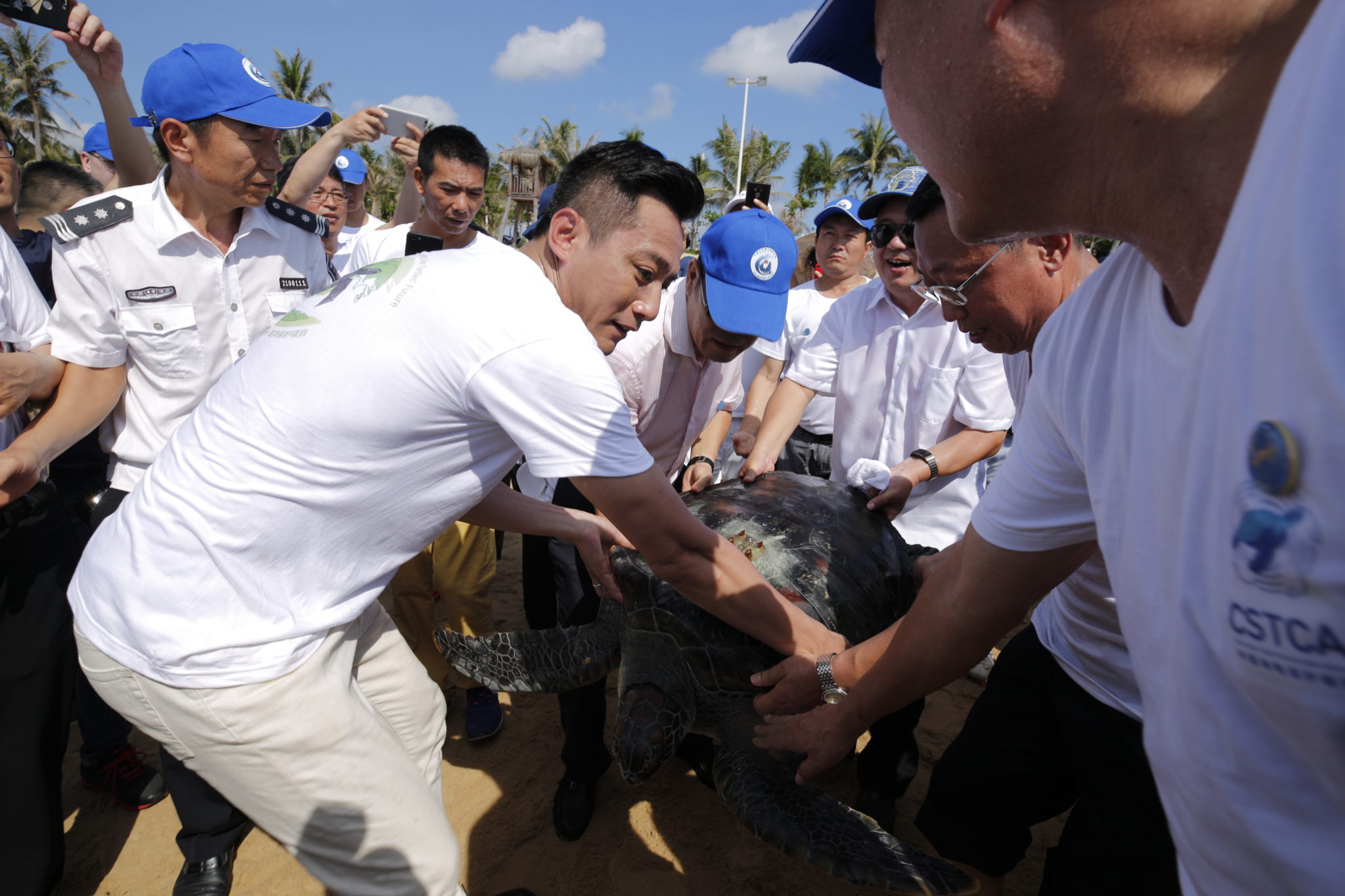 New WildAid Campaign to End Sea Turtle Trade in China - WildAid