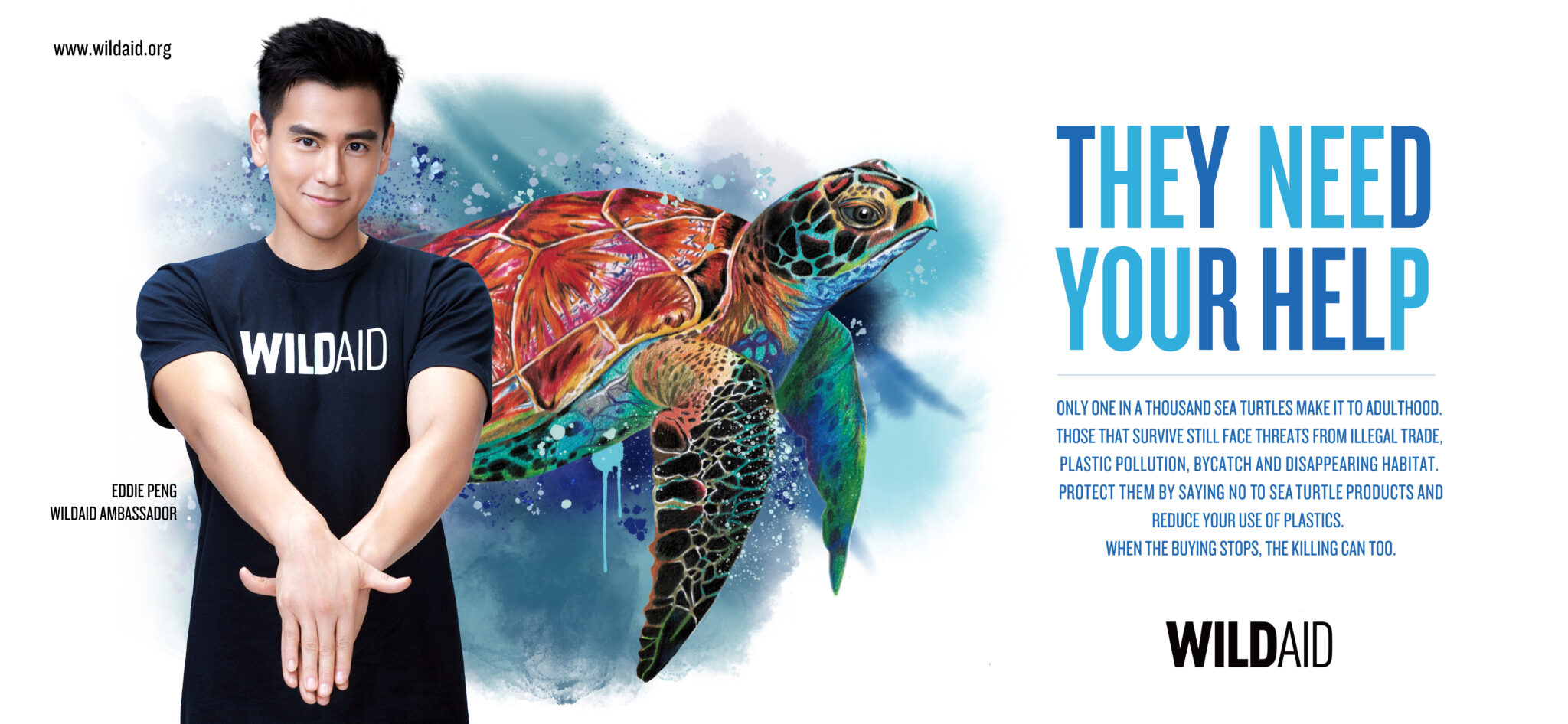 Eddie Peng_Sea Turtle billboard 1 horizontal - WildAid