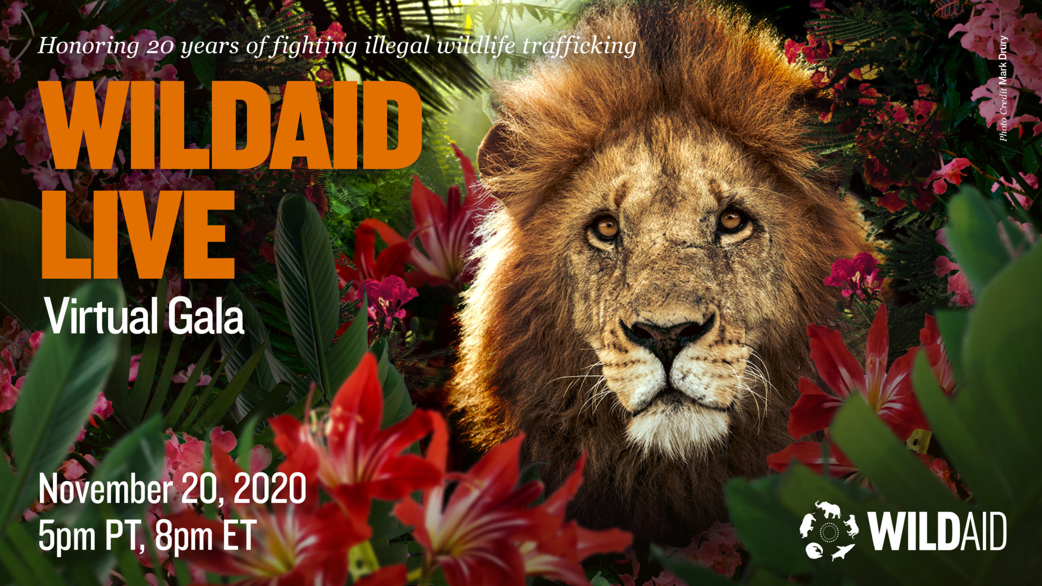 1_WildAid Gala 2020_E-Vite_V2.01 - WildAid