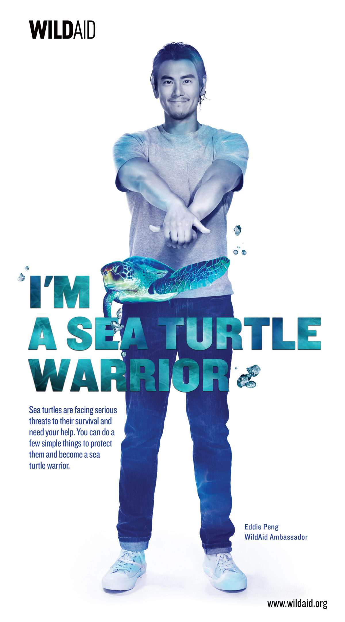 WildAid and Eddie Peng Continue Fighting for Sea Turtles - WildAid