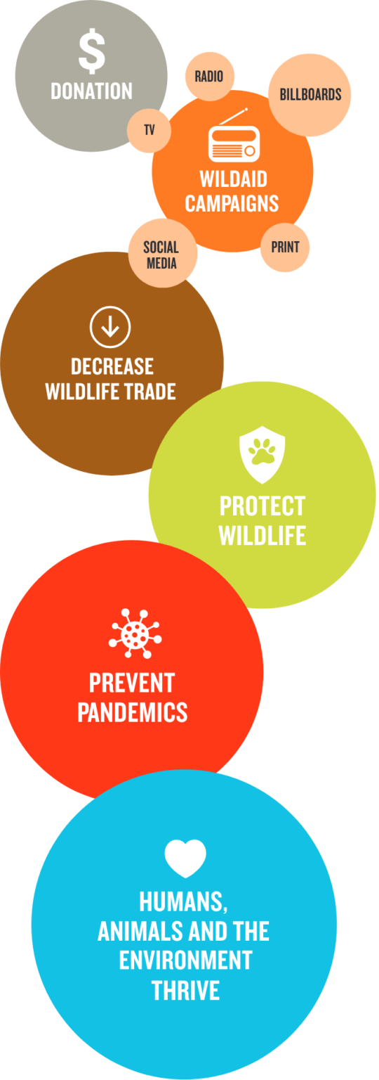 Your Partnership Flow Chart - WildAid