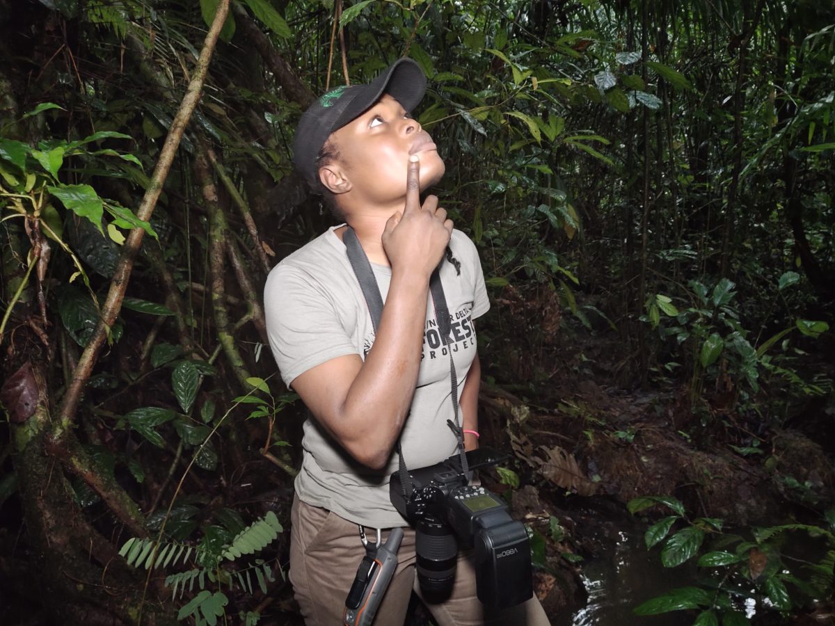 Safeguarding the Niger Delta Forest - WildAid