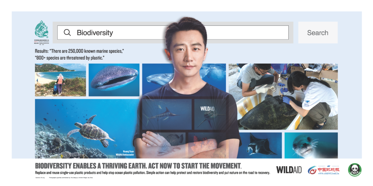 WildAid Ambassadors Support CoP15: Act Now to Start the Movement - WildAid