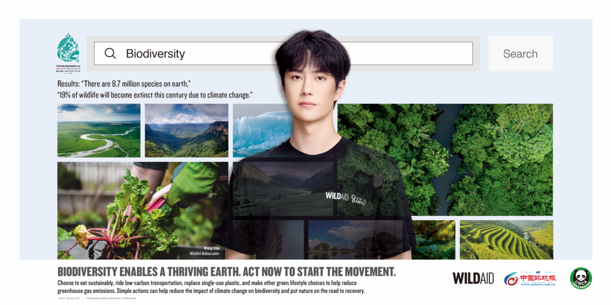 WildAid Ambassadors Support CoP15: Act Now to Start the Movement - WildAid