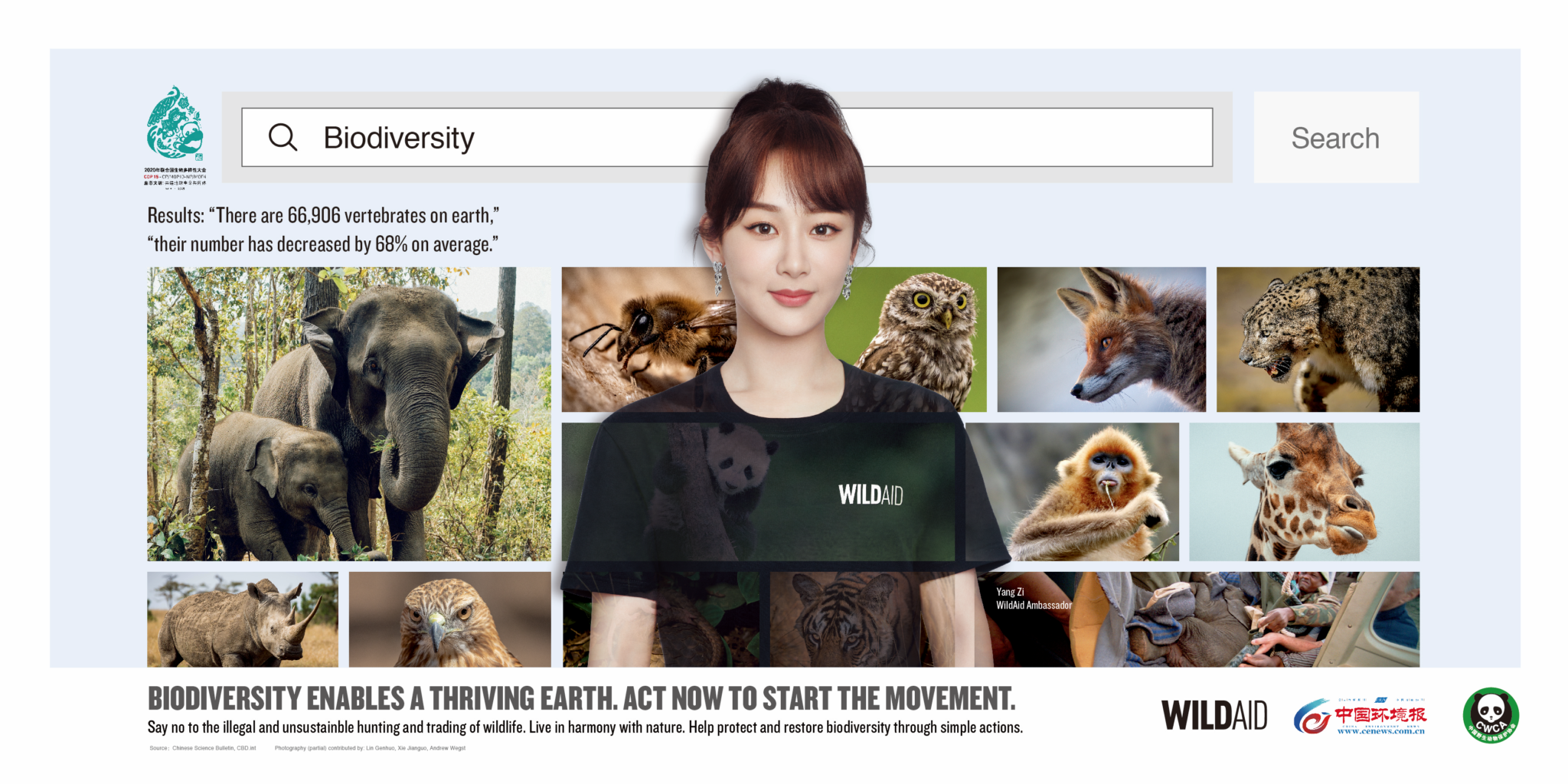 WildAid Ambassadors Support CoP15: Act Now to Start the Movement - WildAid