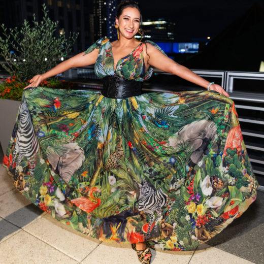 Celebrating ‘An Evening with WildAid’ - WildAid