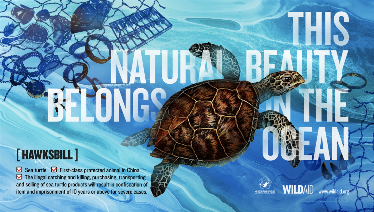 WildAid reminds consumers “Beauty Belongs in the Ocean” - WildAid