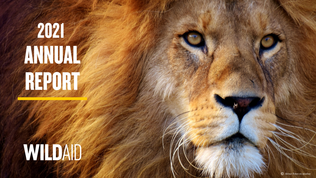 Our Impact in 2021 - WildAid