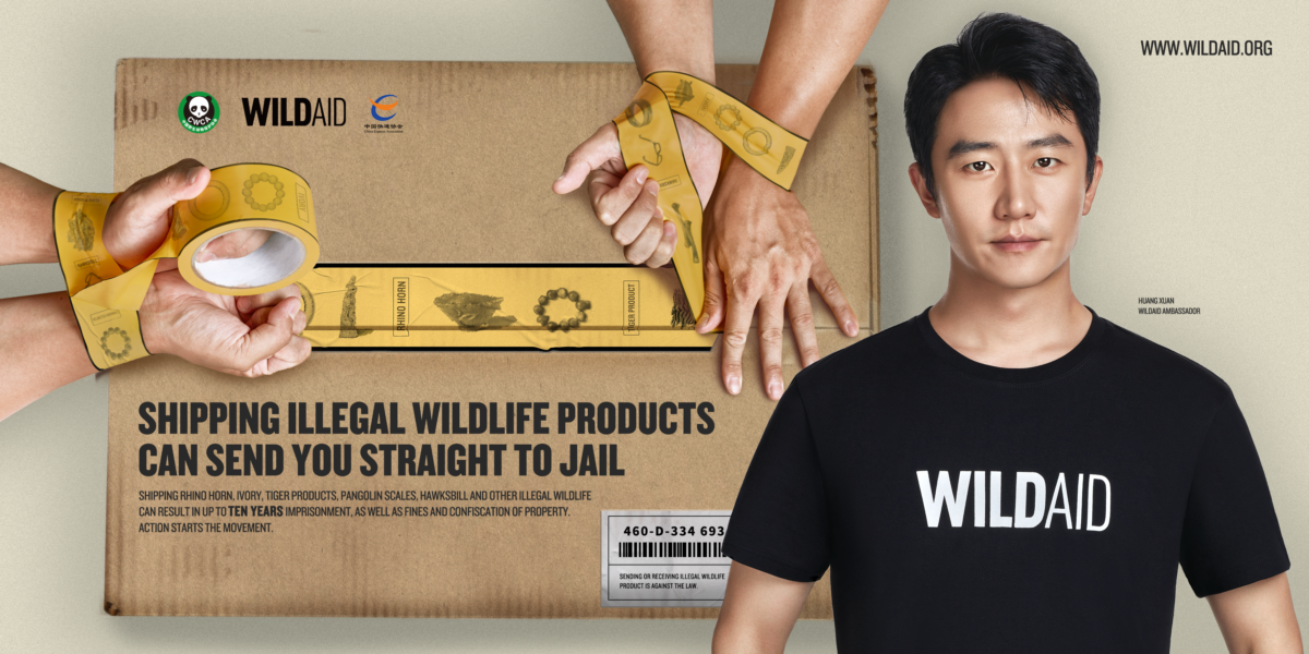WildAid’s New Demand Reduction Campaign Targets Express Shipping - WildAid