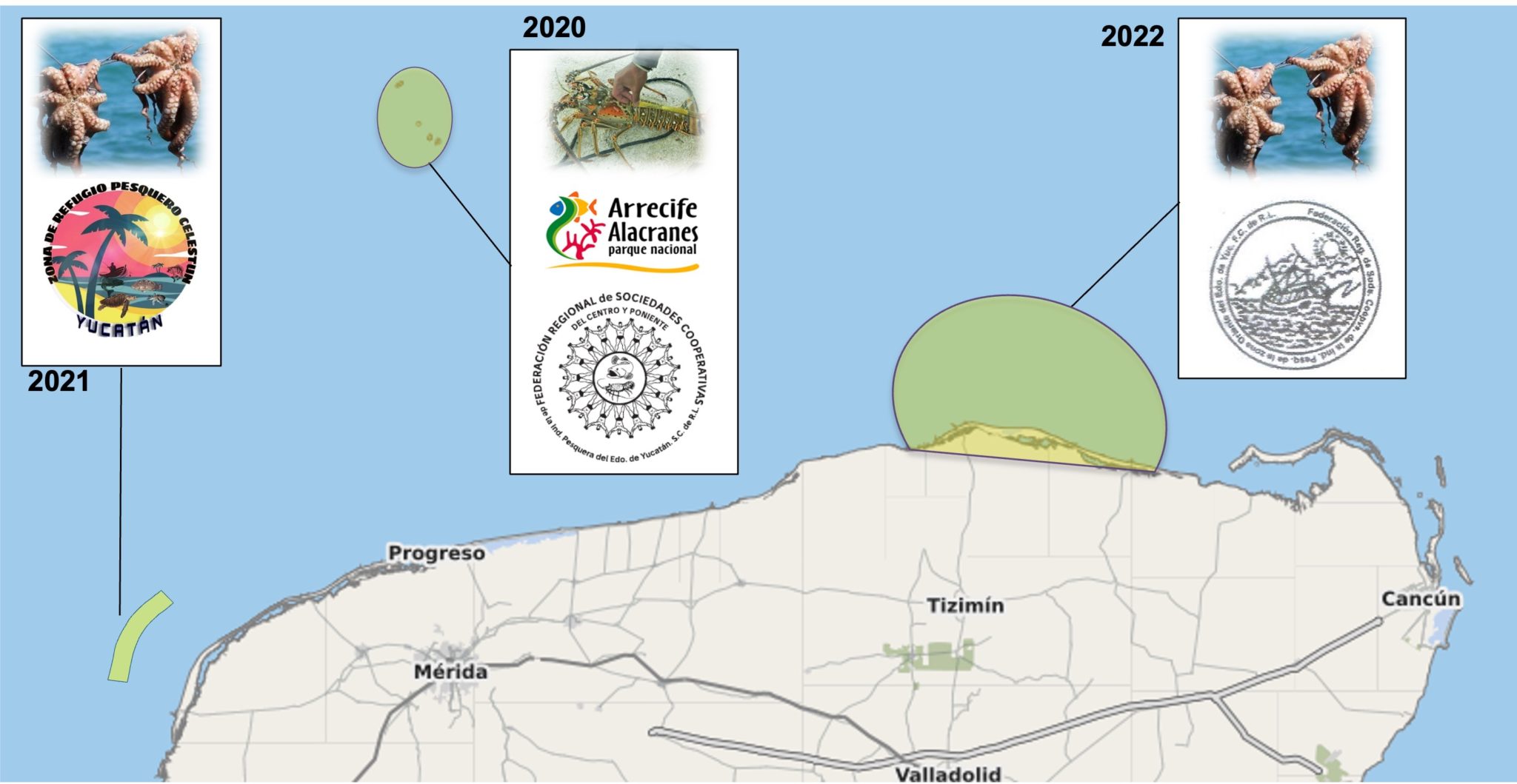 FISHING COOPERATIVES LEAD SUSTAINABLE MANAGEMENT AND ENFORCEMENT OF THE ...