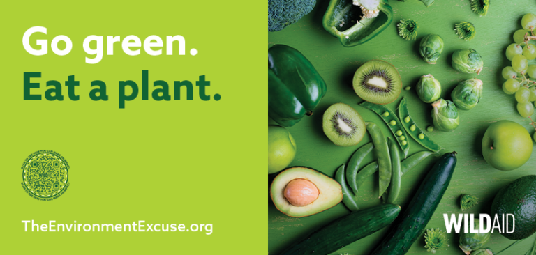 As Eco-Anxiety Surges, WildAid Launches US Consumer Decarbonization Ad ...