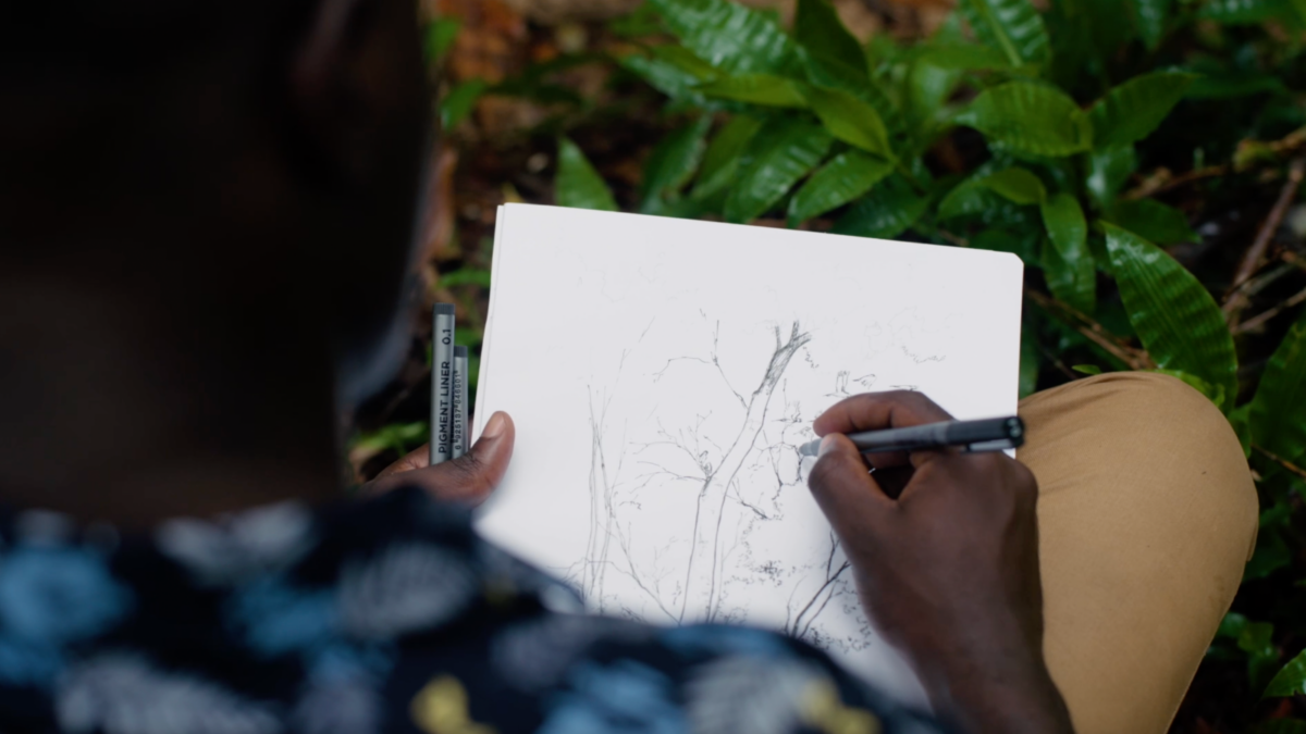 How you can become a forest hero: ways to protect forests and reduce ...