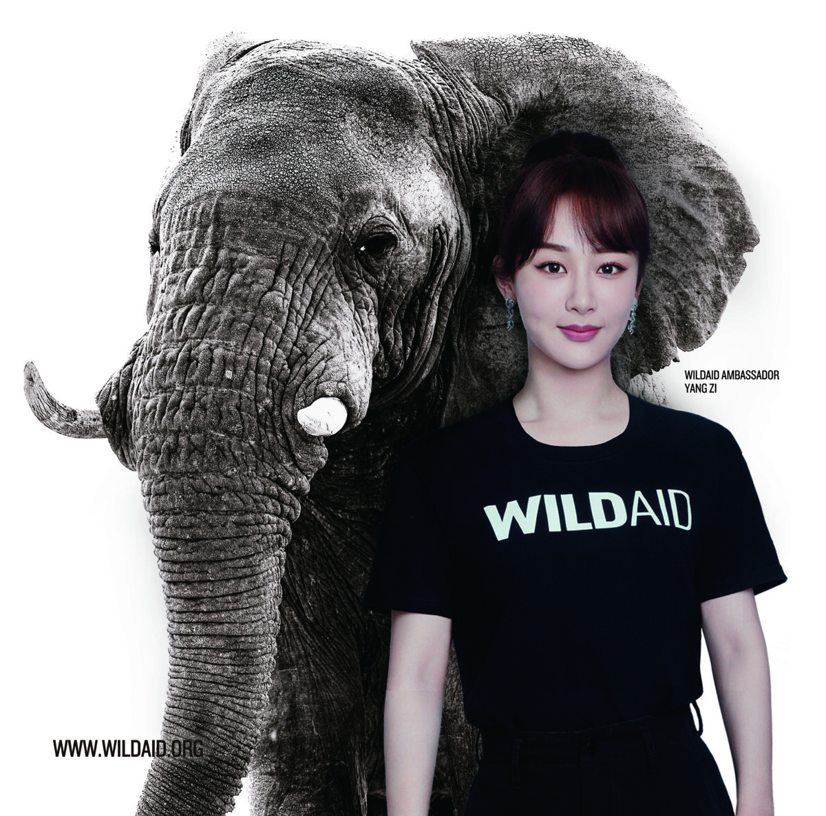 As China's Outbound Travel Heats Up, WildAid’s New PSAs Target ...