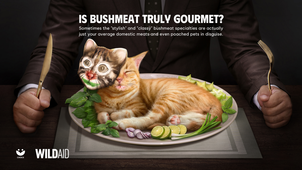 WildAid Vietnam's "Good-For-Nothing Bushmeat" Campaign Aims to End ...