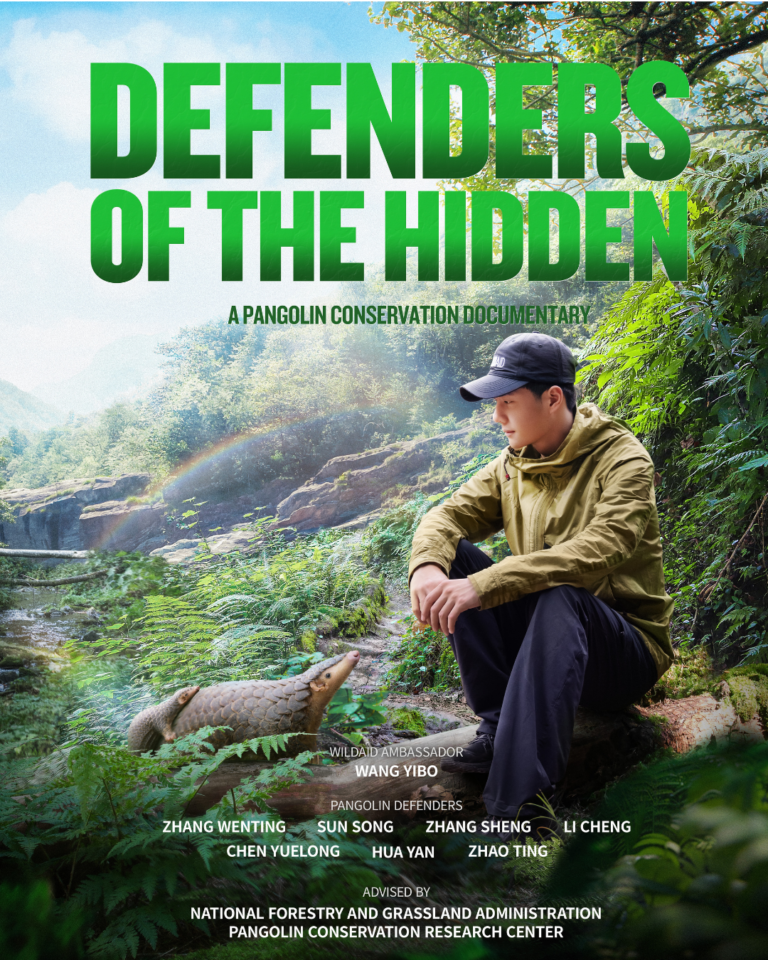 WildAid’s Pangolin Priority: Saving the Most Trafficked Wild Mammal in ...