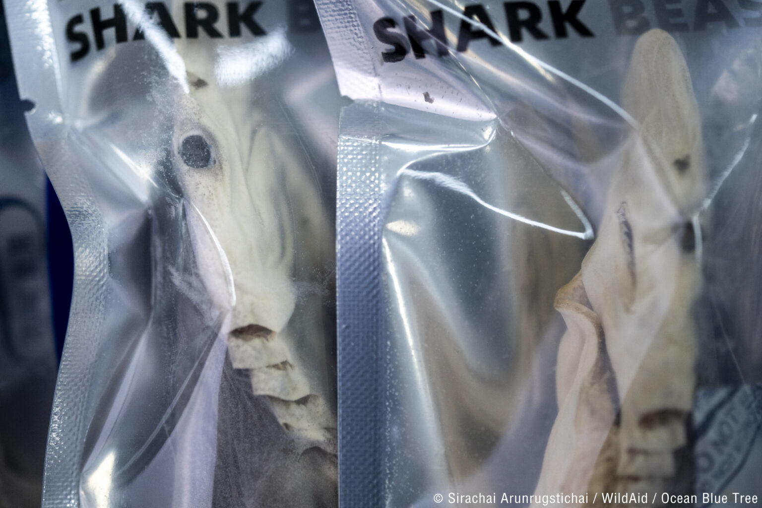 New Comprehensive Report Uncovers Threats to Conservation and Pet ...